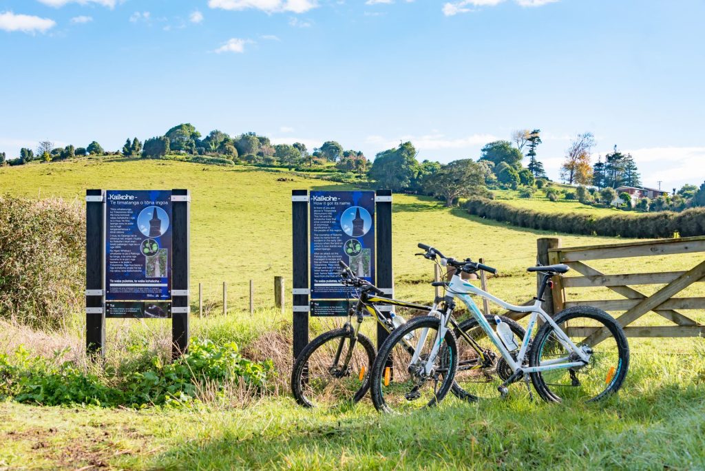 Making a plan Twin Coast Cycle Trail - Pou Herenga Tai 🚲